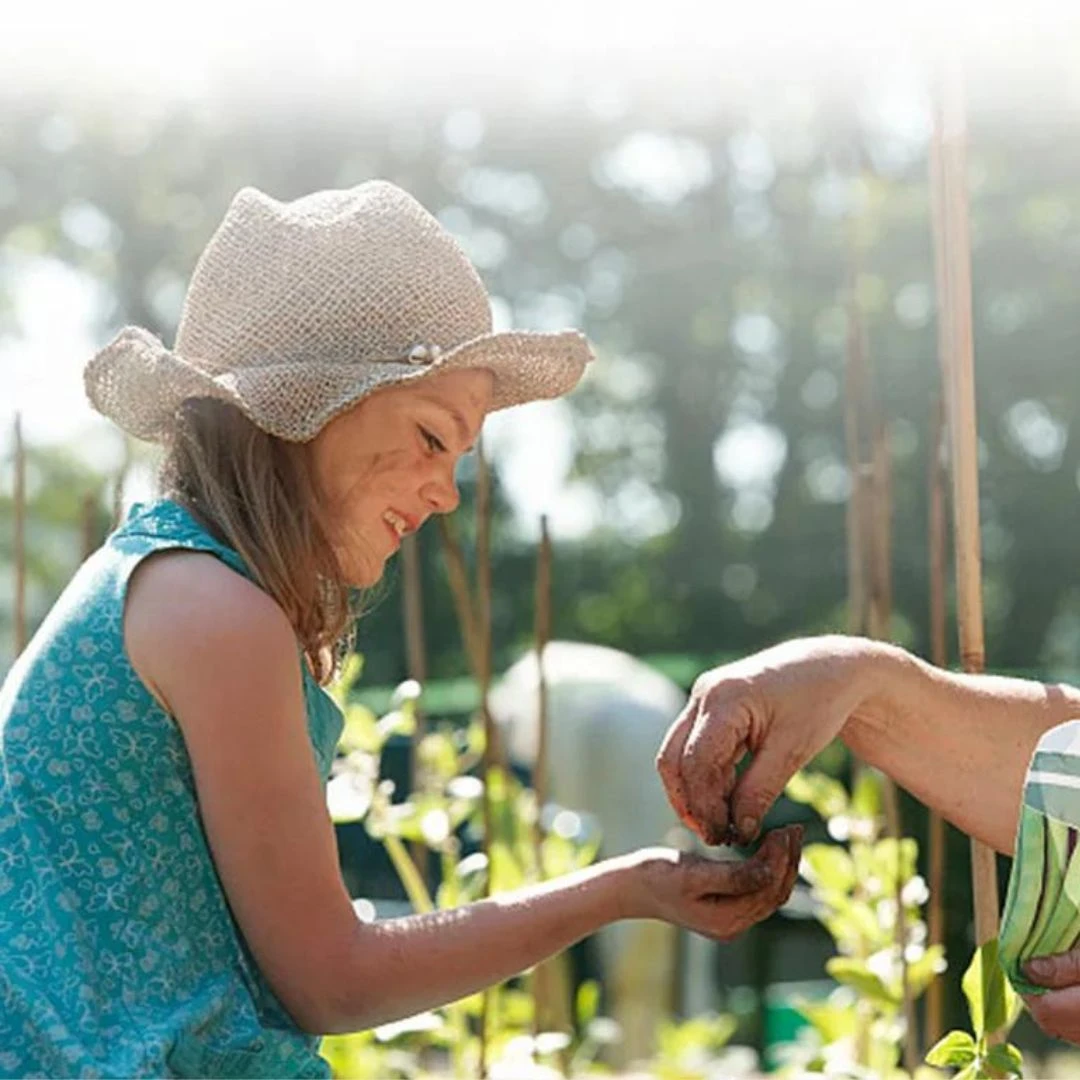 Interactive Sunroom Garden Kit for Kids